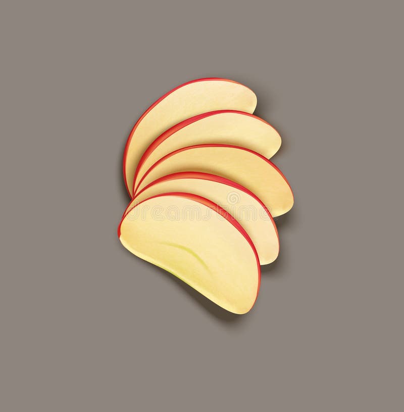 Vector Red Apple Slices Isolated Stock Vector - Illustration of nature ...