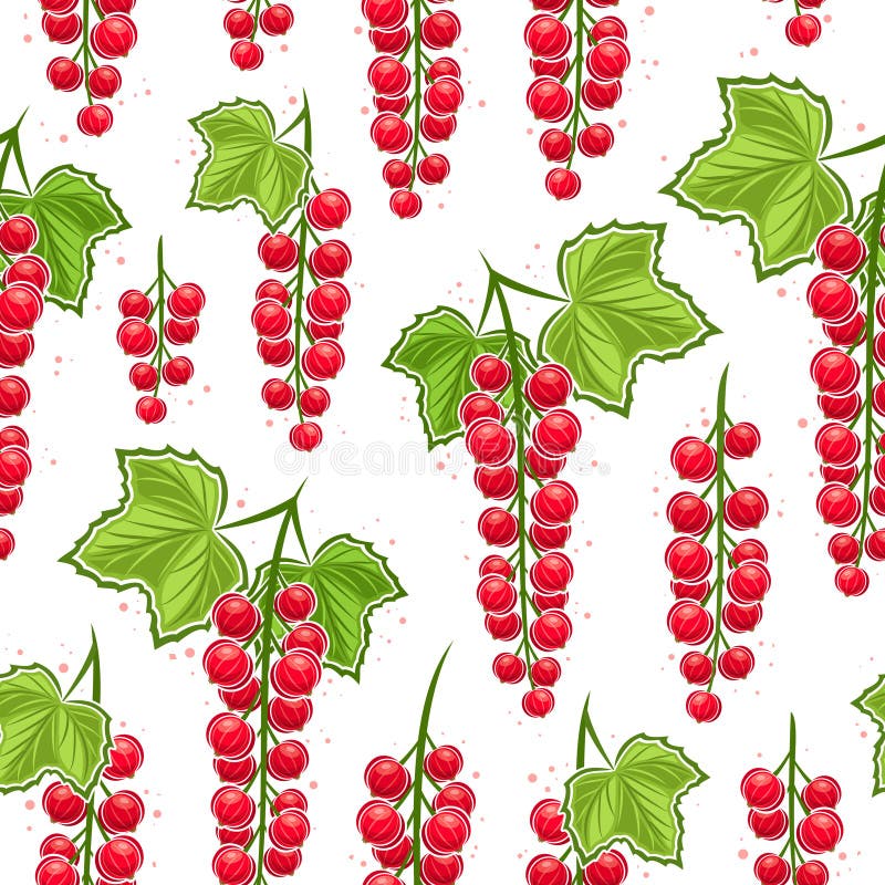 Sour Redcurrants Stock Illustrations – 10 Sour Redcurrants Stock ...