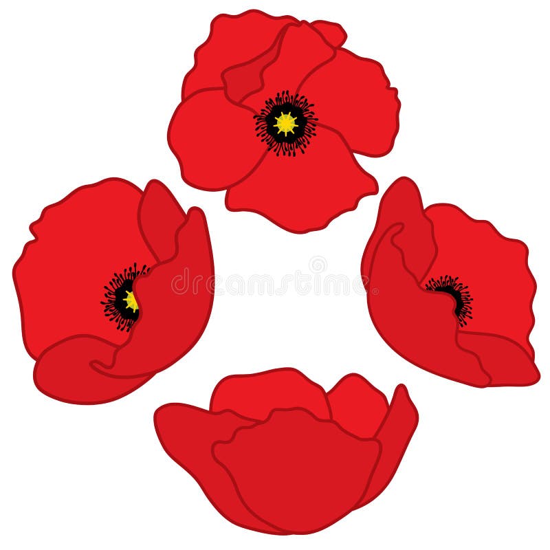 Vector Red Poppies. Poppy Vector Illustration Stock Vector ...