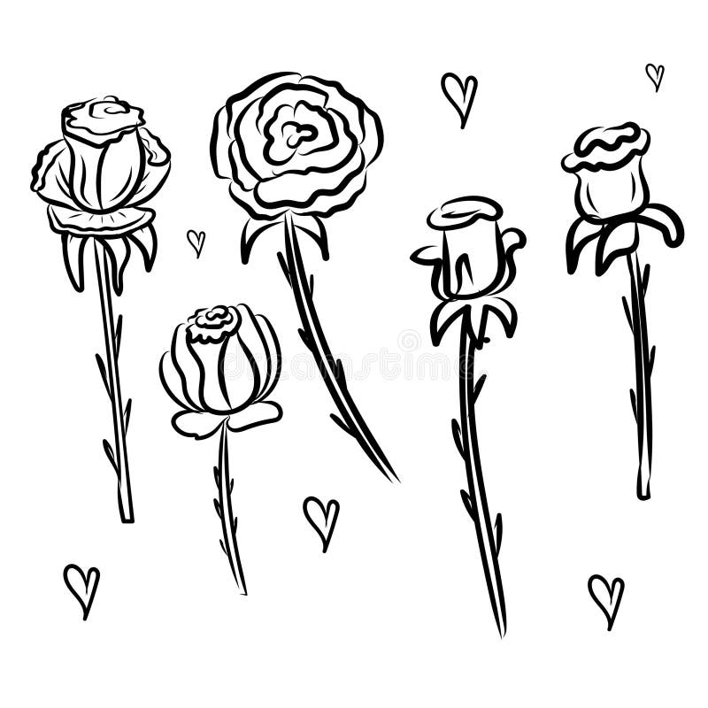 Vector Red Rose Flower Seamless Pattern. Bordo Background, Allover ...