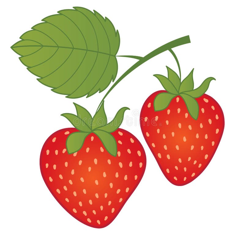 Vector Red Strawberries. Vector Strawberry Stock Vector - Illustration ...