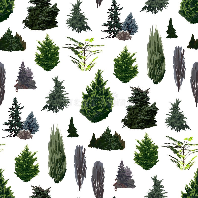 Vector Seamless Pattern of Lush Coniferous and Deciduous Trees Stock ...