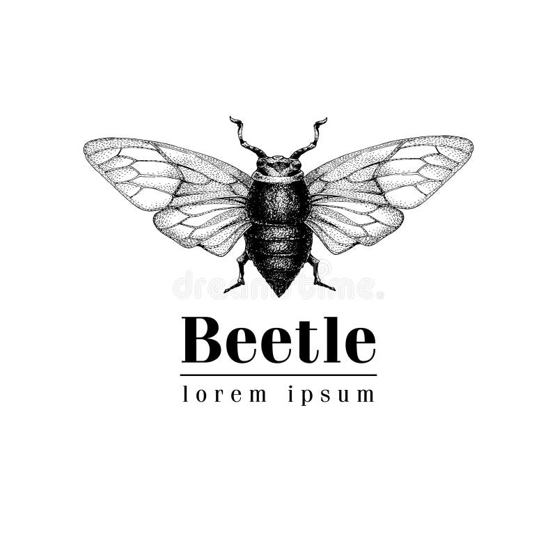 Dorr Stock Illustrations – 454 Dorr Stock Illustrations, Vectors ...