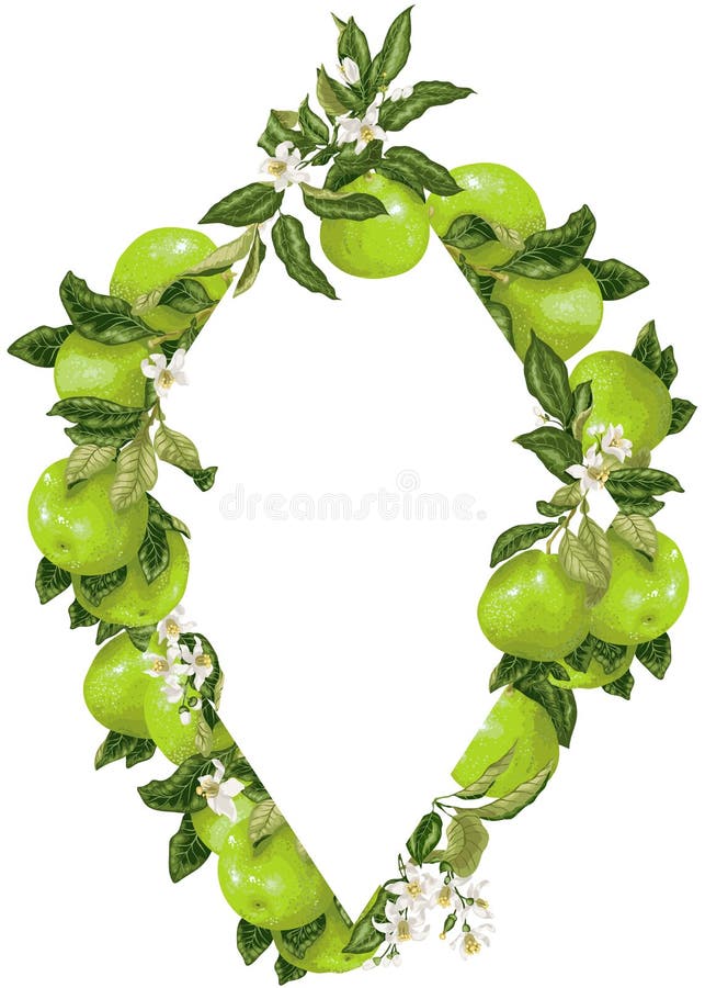 Vector Rhombus Frame Decoration with Citrus Grapefruit and Pomelo ...