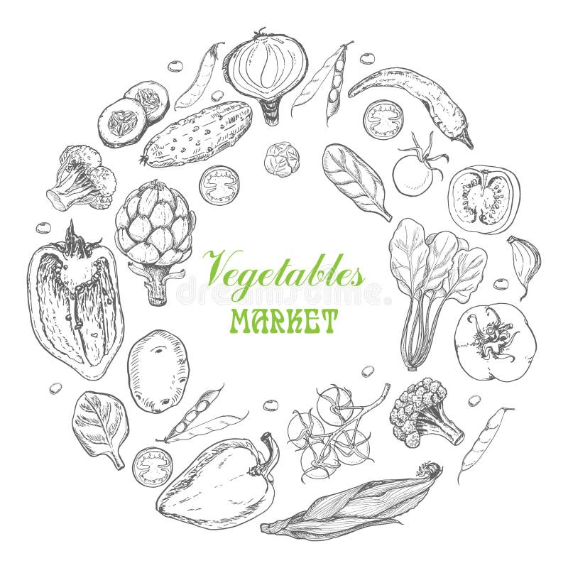Vector Ring of Vegetables. New Design for the Vegetable Market. Vector ...