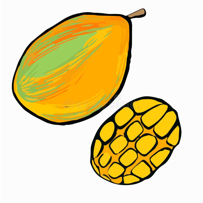 Clip Art Mango Stock Illustrations – 971 Clip Art Mango Stock ...