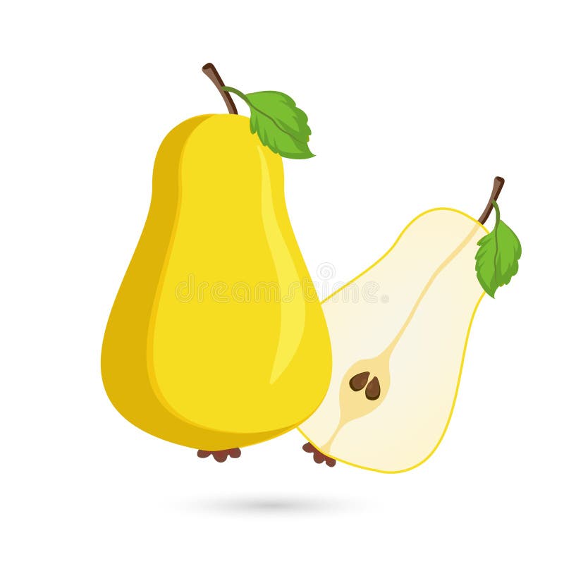 Vector Ripe Pear and Its Pieces. Two Pieces Sliced of Yellow Pear Fruit ...