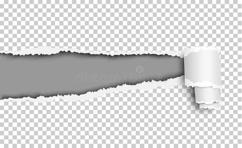 Vector Ripped Transparent Checkered Sheet of Paper with Soft Shadow and ...