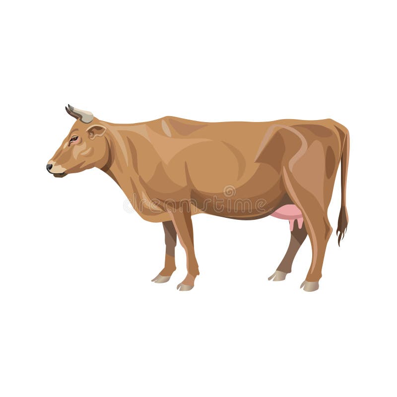 Vector rojo de la vaca ilustración del vector. Ilustración de granja ...