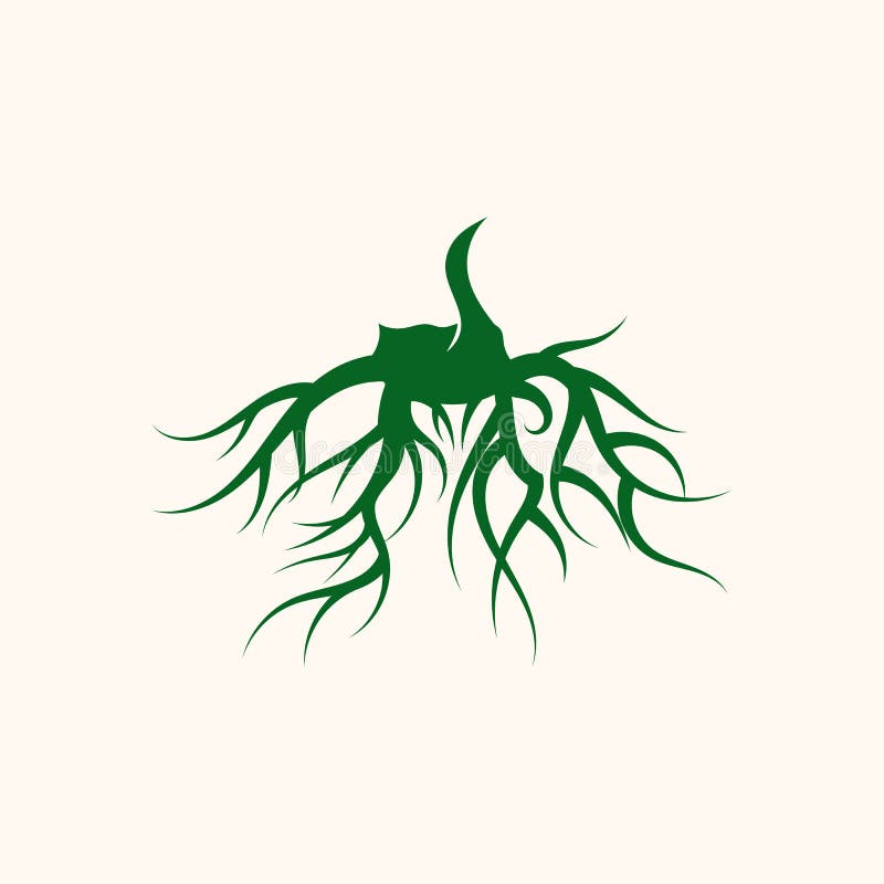 Vector Root of an Underground Creative Tree. Tree Root Icon Stock ...