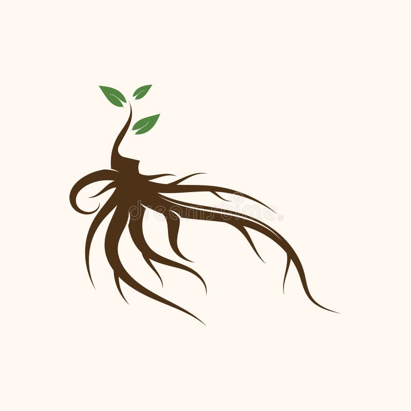 Vector Root of an Underground Creative Tree. Tree Root Icon Stock ...