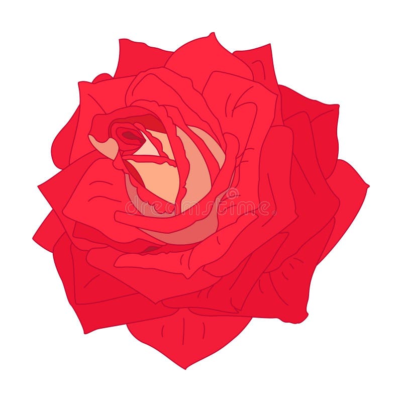 Vector Rose Flower Clip Art Stock Vector - Illustration of floral ...
