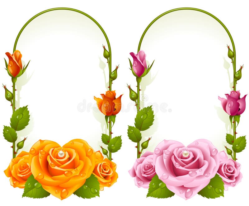 Vector Rose Horizontal Vignette Isolated on Backgr Stock Vector ...