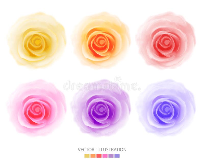 Vector roses set. EPS10 stock vector. Illustration of beautiful - 65087447