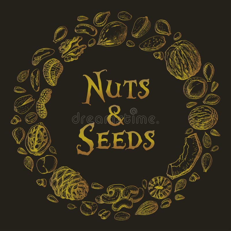 Vector Round Frame of Nuts and Seeds Stock Vector - Illustration of ...