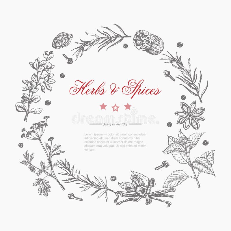 Spices Herbs Frame Stock Illustrations – 1,049 Spices Herbs Frame Stock ... Spices Herbs Frame Stock Illustrations – 1,049 Spices Herbs Frame Stock ...