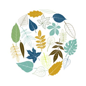 Vector Round Template with Tree Leaves Stock Vector - Illustration of ...