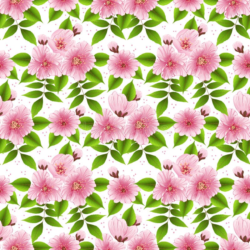 Vector Sakura Flower Seamless Pattern Element. Elegant Cherry Blossom ...