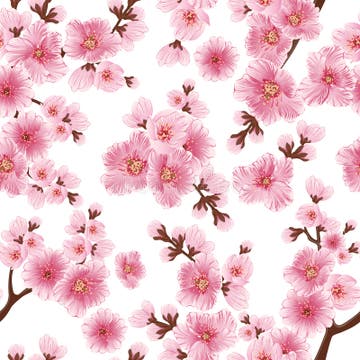Sakura Texture Stock Illustrations – 23,537 Sakura Texture Stock ...
