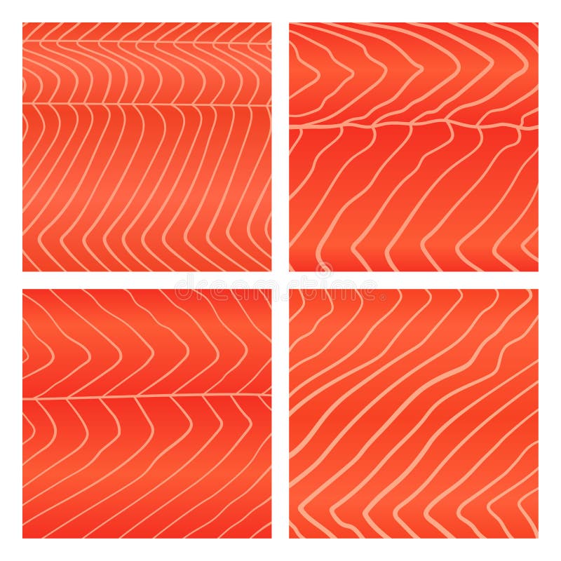 Vector Salmon Meat Backgrounds or Textures Stock Vector - Illustration of seafood, chinook ...