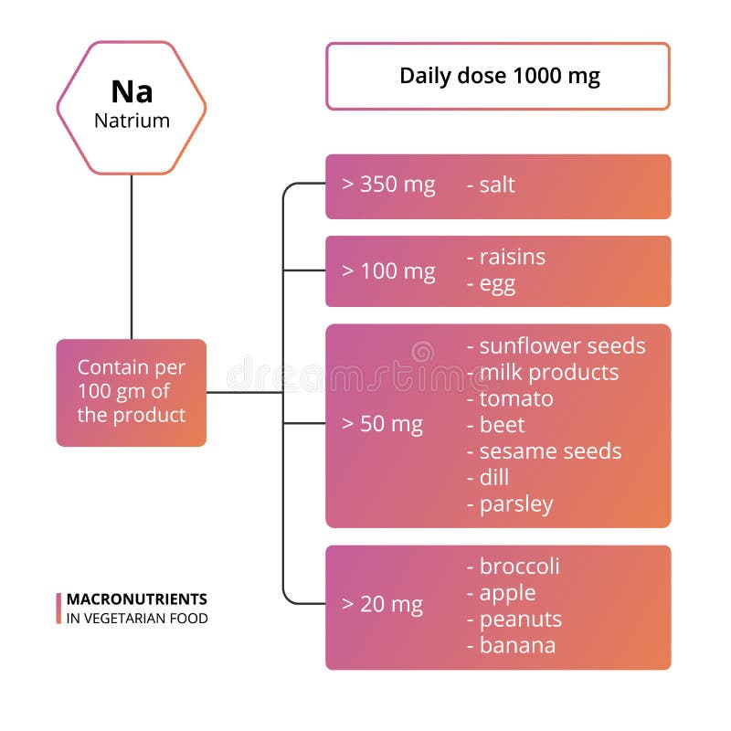 Natrium Basic Macronutrients Stock Vector - Illustration of healthy ...