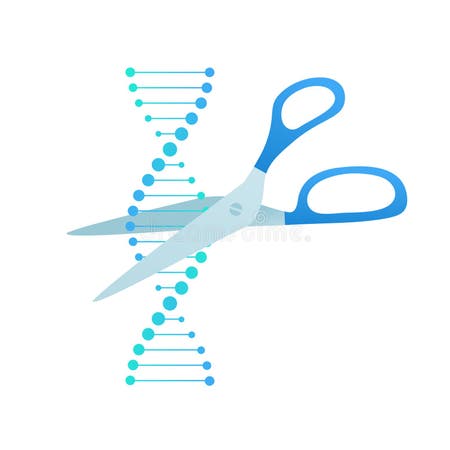 Scissors Spiral Stock Illustrations – 1,487 Scissors Spiral Stock ...