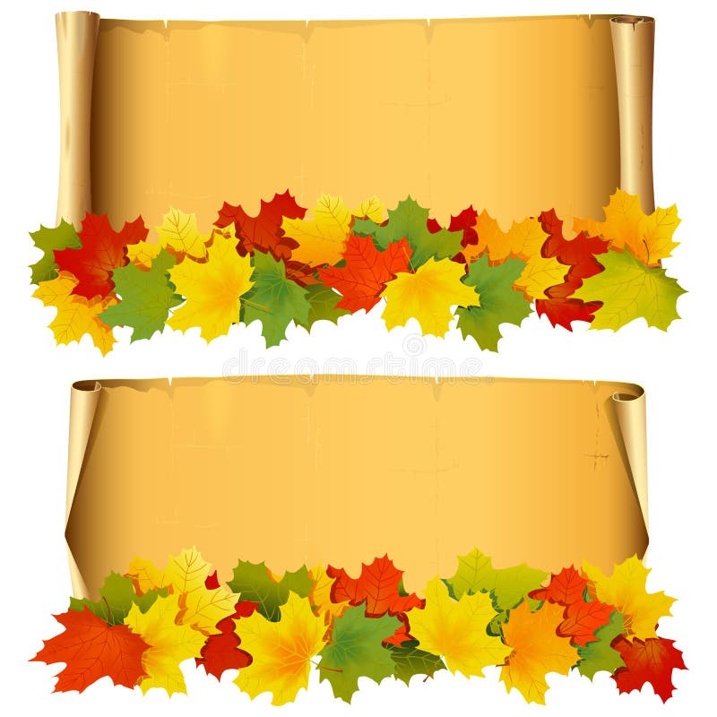 Vector Scroll with Autumn Leaves Stock Vector - Illustration of maple ...