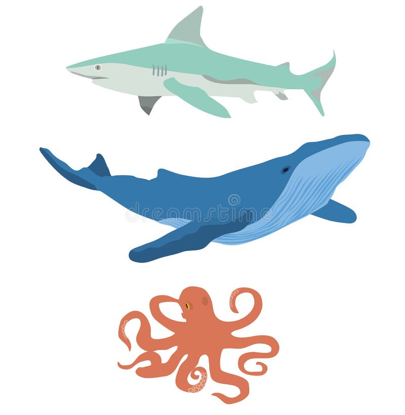 Vector Sea Animals. Shark, Whale, Octopus. Stock Vector - Illustration ...