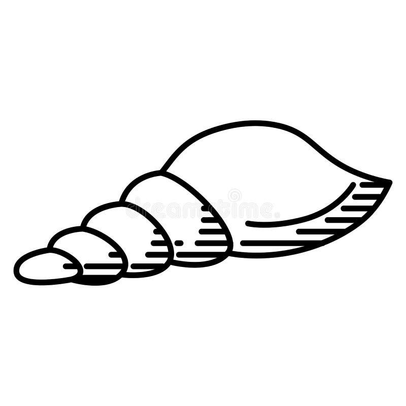 Sea Shell Isolated on White Background Stock Illustration ...