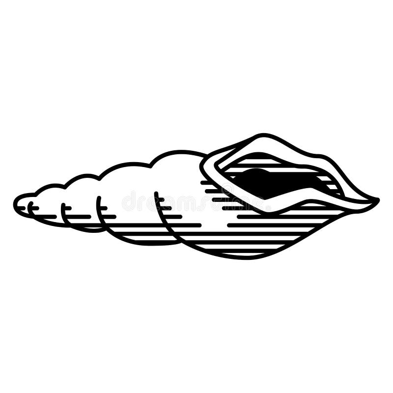 Sea Shell Isolated on White Background Stock Illustration ...