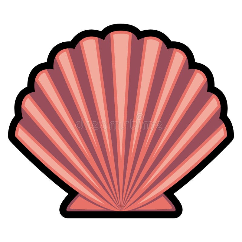 Sea Shell Isolated on White Background Stock Illustration ...