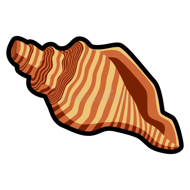 Sea Shell Isolated on White Background Stock Illustration ...