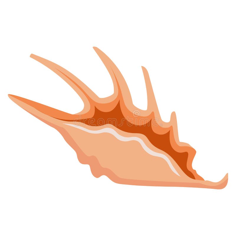 Sea Shell Isolated on White Background Stock Illustration ...