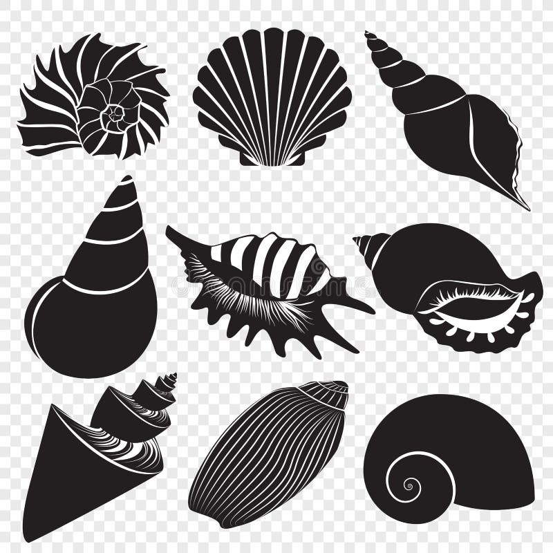Vector Sea Shells. Seashell Silhouettes Set Isolated. Stock Vector ...