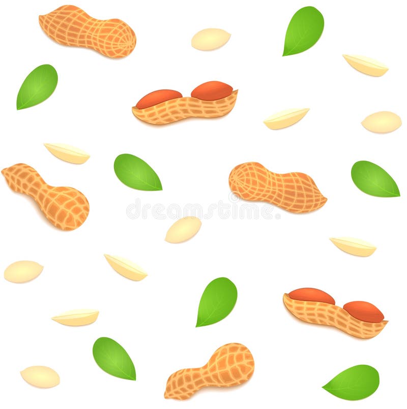 Vector Seamless Background Peanut Nut. a Pattern of Shelled Peanuts ...