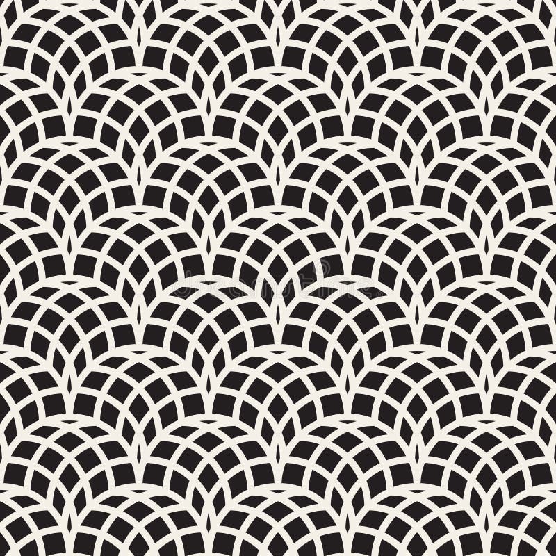 Vector Seamless Black and White Arc Shape Line Lattice Pattern Stock ...