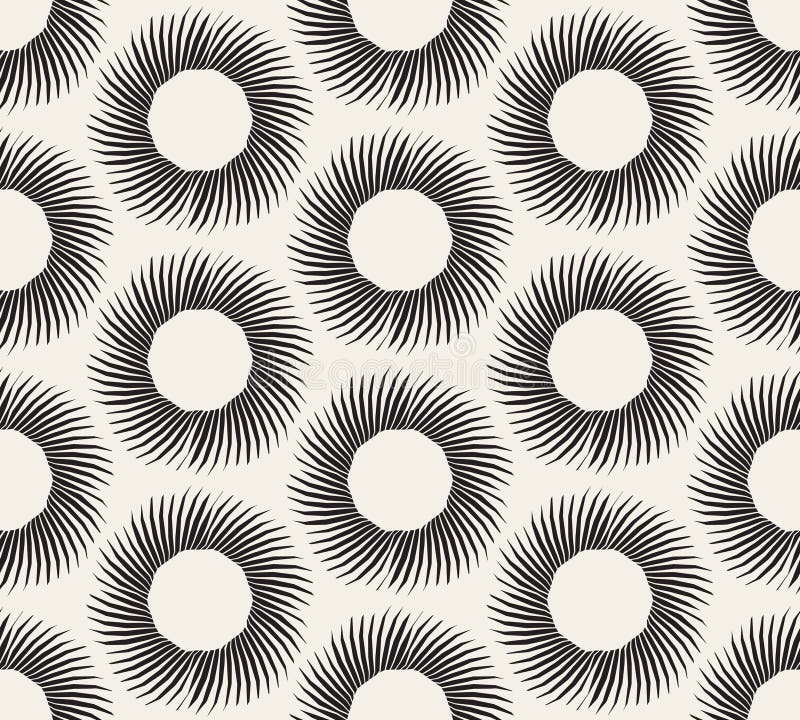 Vector Seamless Black and White Geometric Hand Drawn Circle Rays Line ...