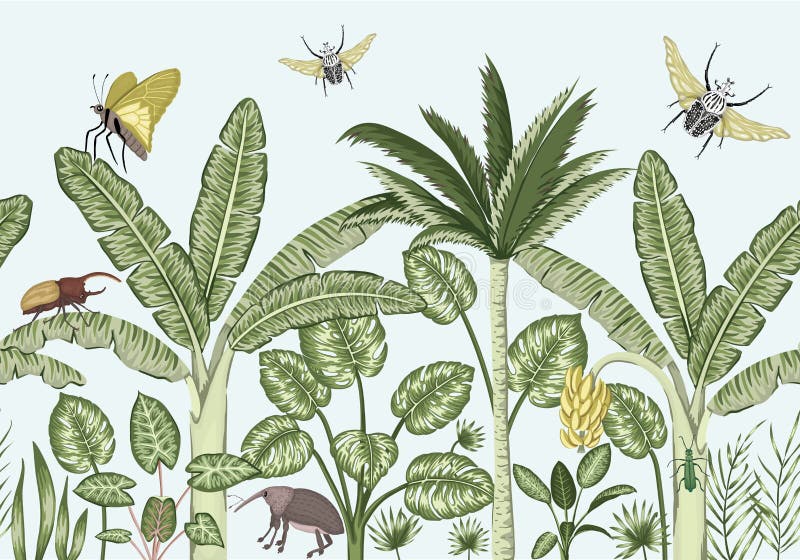 Vector Seamless Border Background with Tropical Plants and Insects ...