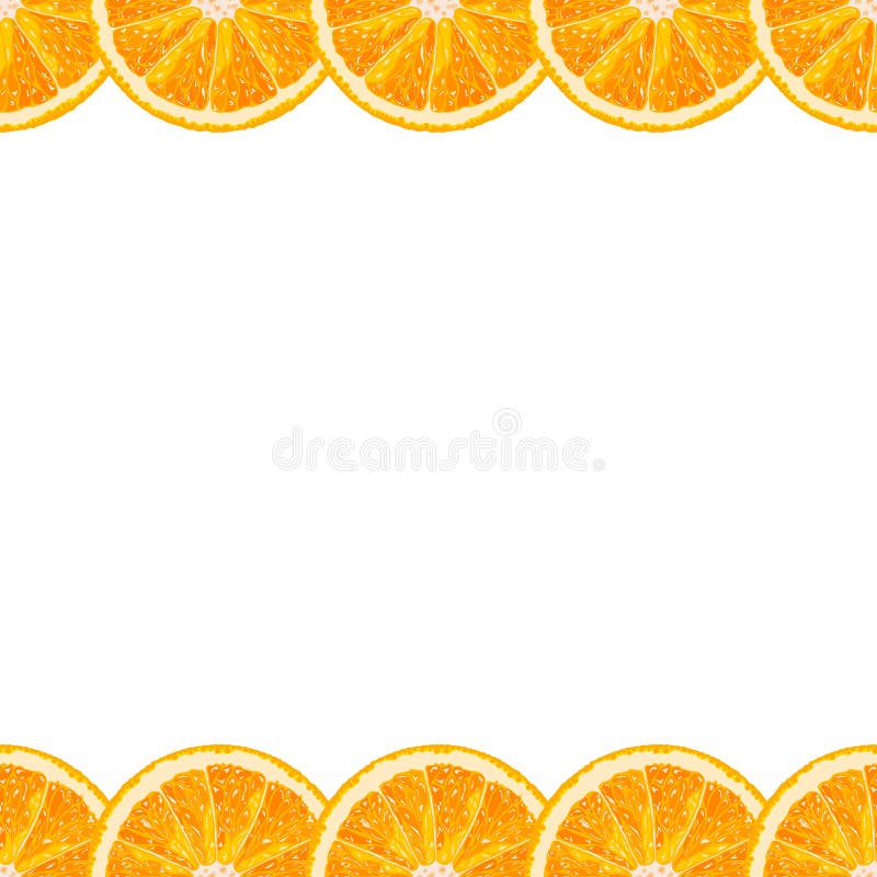 Vector Seamless Border of Orange Slice. Citrus Background Stock Vector ...