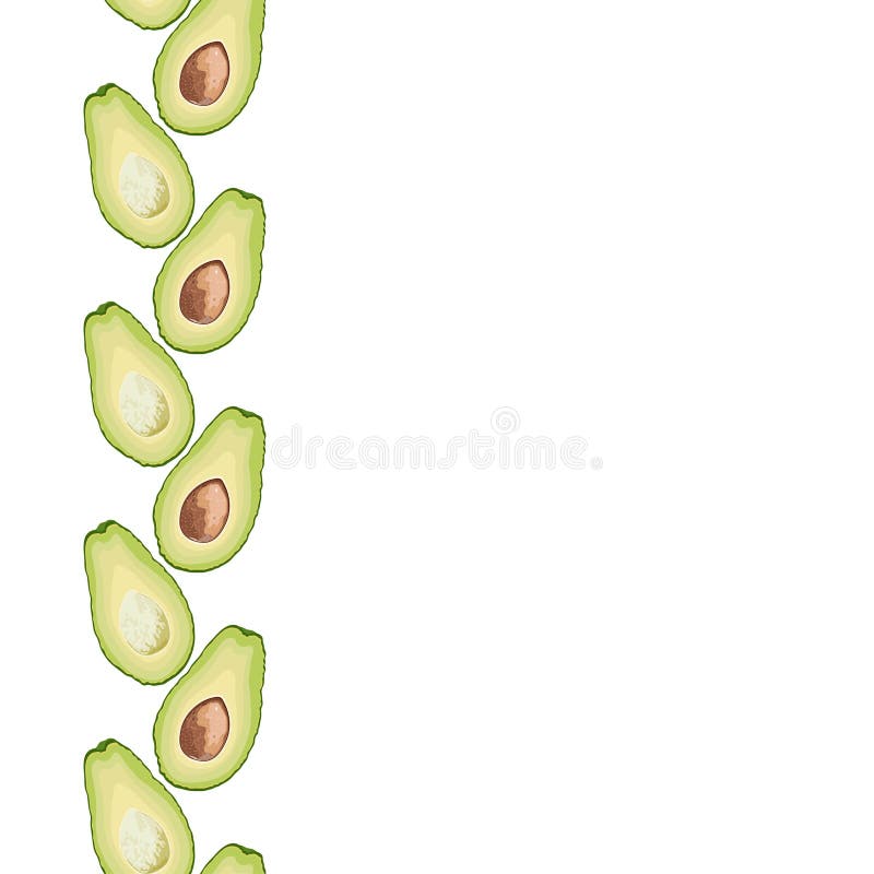 Vector Seamless Decorative Border of Avocado Slice Stock Vector ...