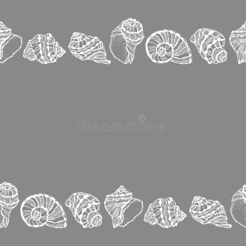 Seashell border stock illustration. Illustration of summery - 382756