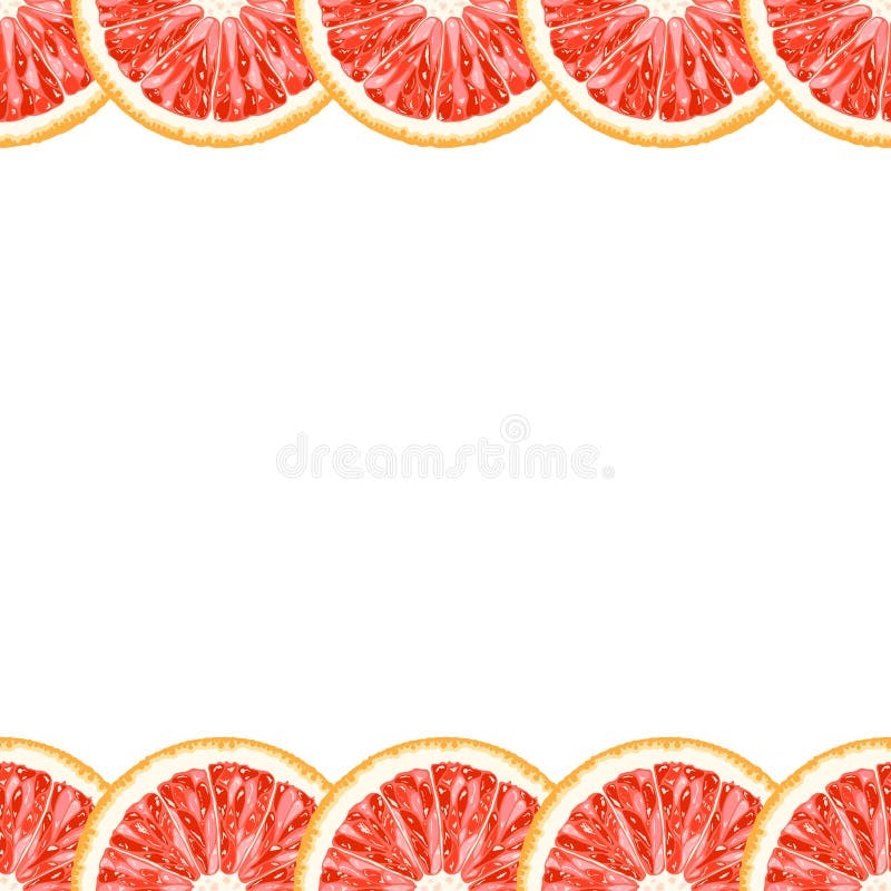 Vector Seamless Decorative Horizontal Border of Grapefruit Slice Stock ...