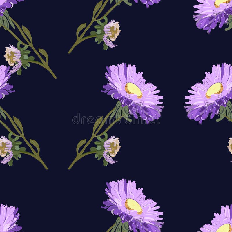Vector Seamless Floral Pattern. Blue Aster Dark Background Stock Vector ...