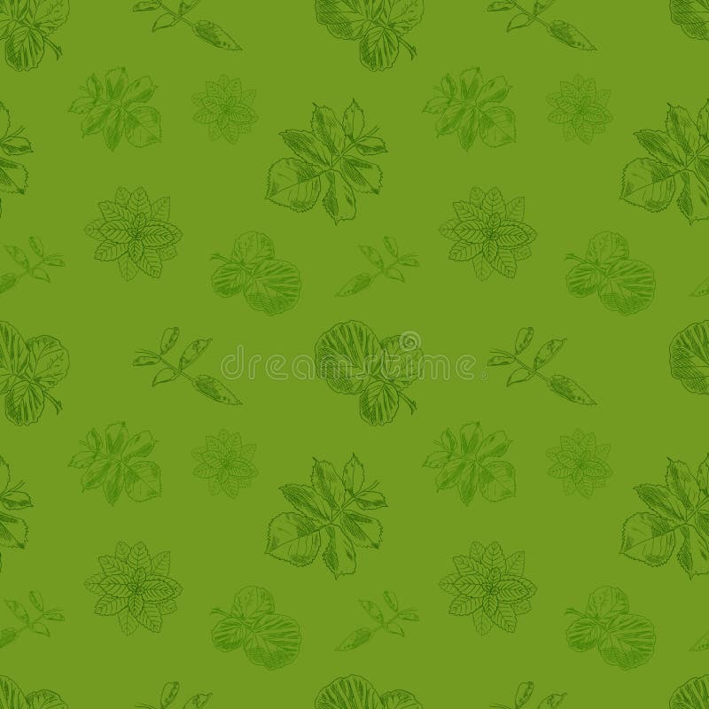 Vector Seamless Floral Pattern, Green Bright Color, Hand Drawn ...