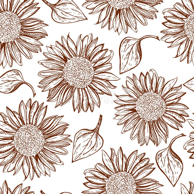 Vector Seamless Hand Drawing Pattern. the Sunflower is Drawn by Hand ...
