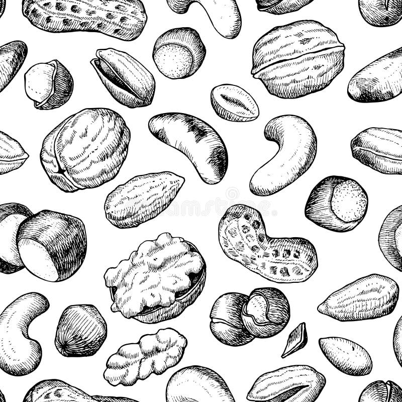 Vector Seamless Hand Drawn Nuts Pattern. Stock Vector - Illustration of ...