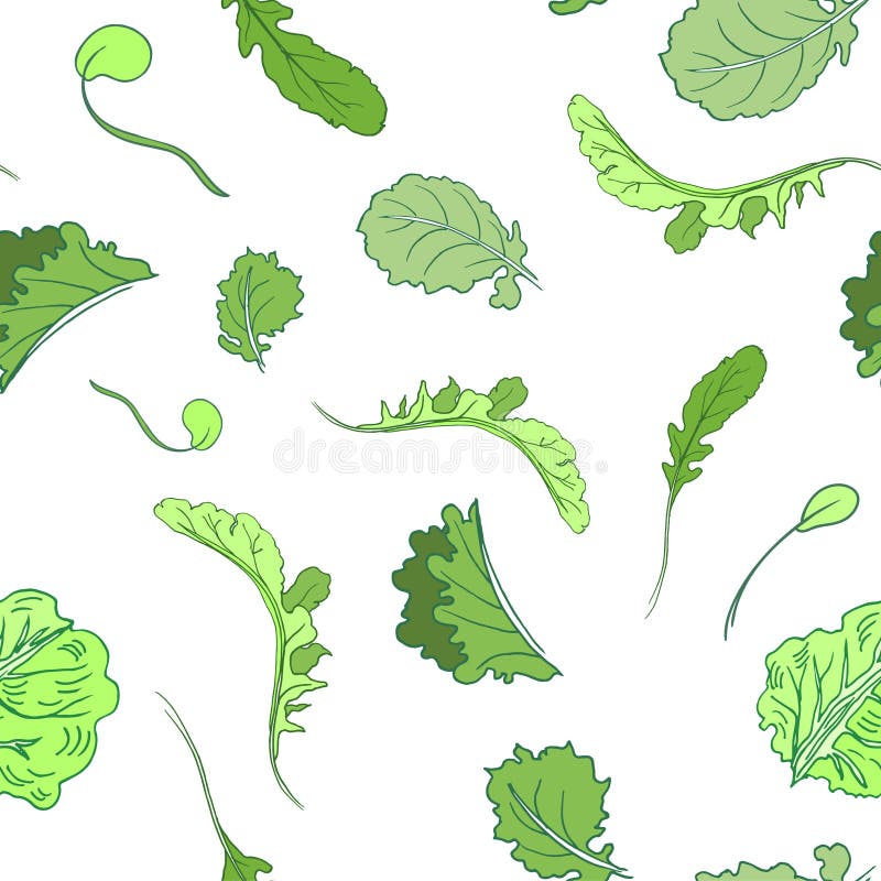 Baby Lettuce Stock Illustrations – 427 Baby Lettuce Stock Illustrations ...