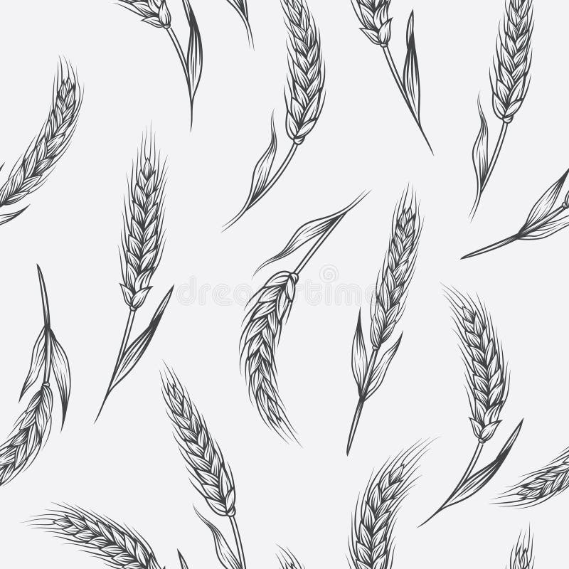 Vector Seamless Pattern with Agriculture Wheat, Cereal Ears. Organic ...