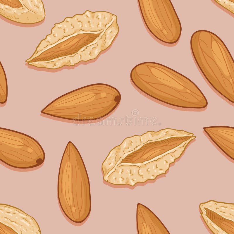 Almonds Seamless Vector Background Stock Vector - Illustration of ...