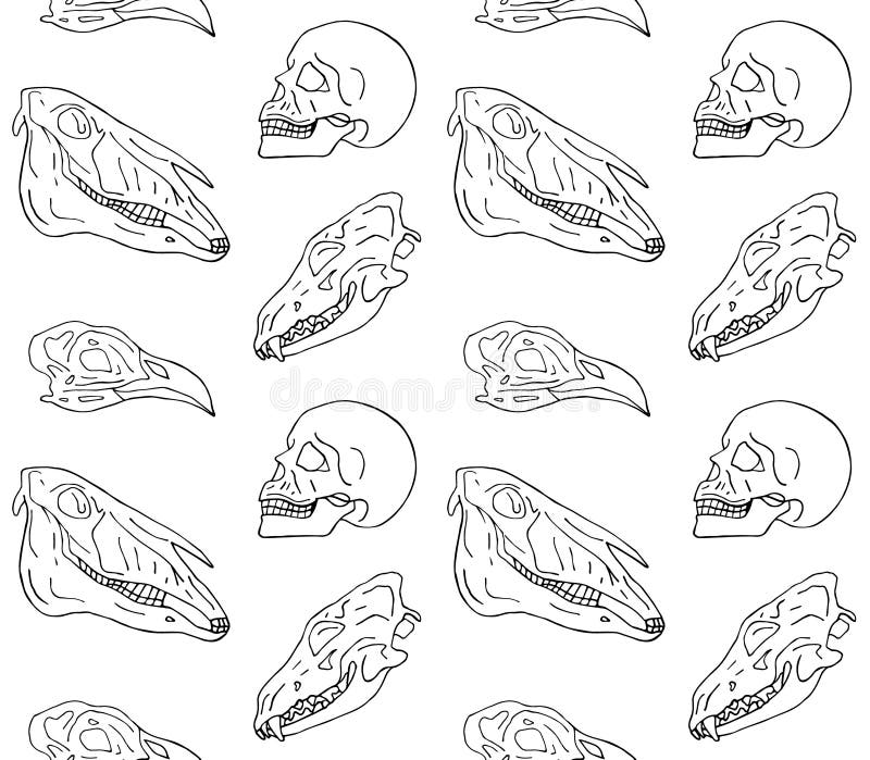 Vector Seamless Pattern of Animal and Human Skull Stock Vector ...